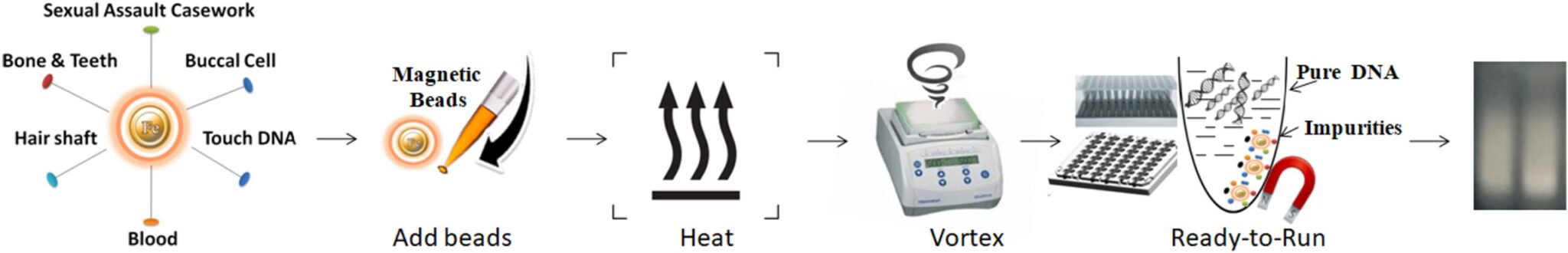 Products / One-Step Forensic DNA Purification - Bioclone Inc.