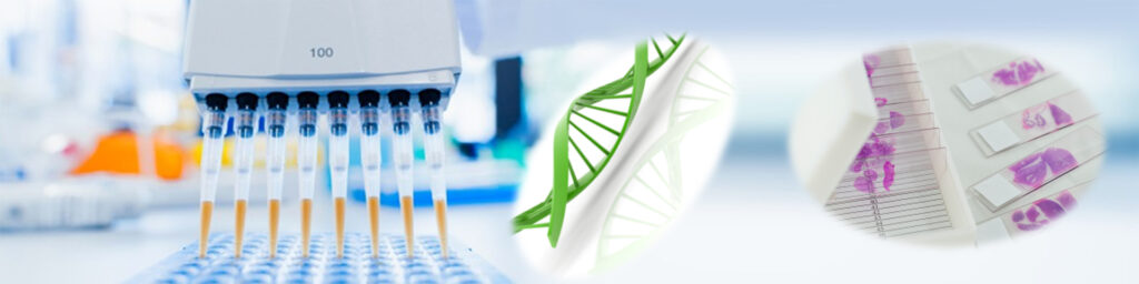 Streamline Your DNA Extraction from FFPE and FNA Samples - Bioclone Inc.