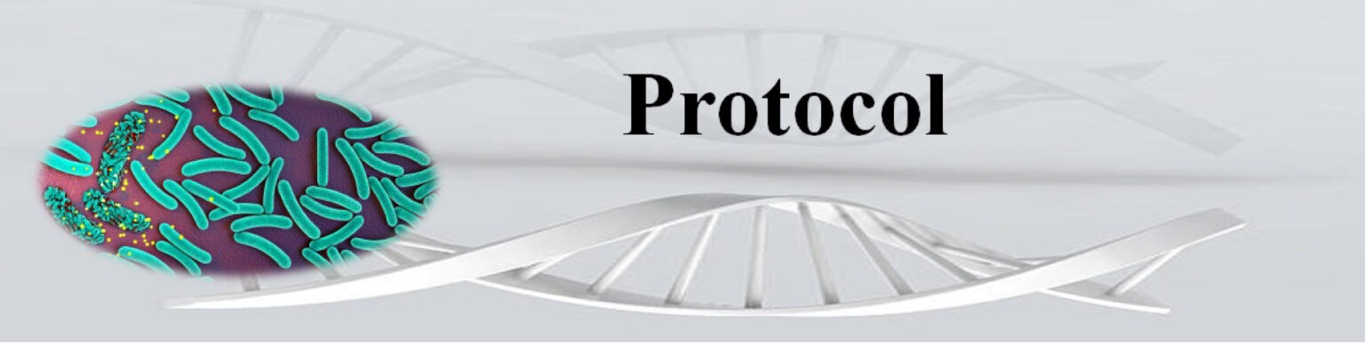 One-Step Bacteria DNA Purification Kit: The Ultimate Solution for Rapid ...