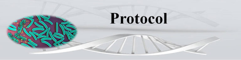 One-Step Bacteria DNA Purification Kit: The Ultimate Solution for Rapid ...