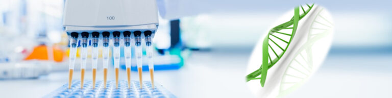 Fast Midiprep Plasmid DNA Purification Kit: Quick and Effective ...