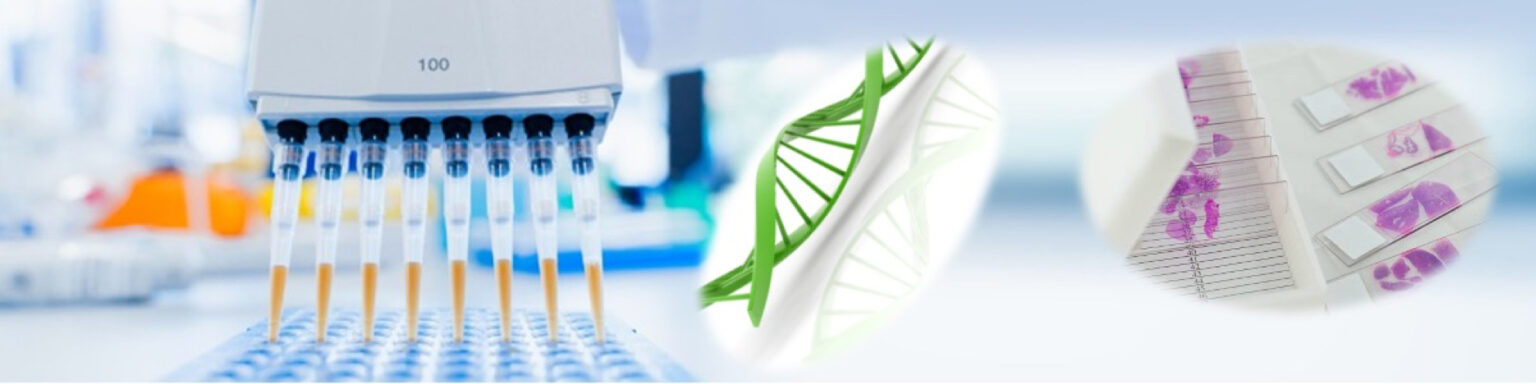 Efficient FFPE & FNA DNA Extraction Kit