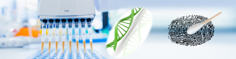 BcMag™ One-Step Fingerprint DNA Purification Kit