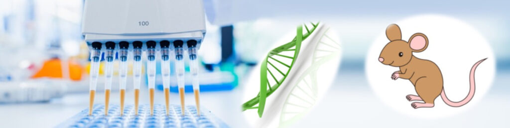 One-Step Mouse Tail DNA Purification Kit: Fast, Efficient, & Reliable ...