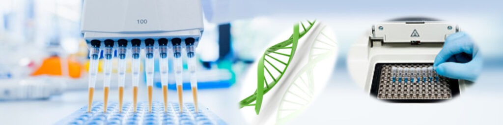 PCR Inhibitors: Effects on PCR Reactions and Removal Methods