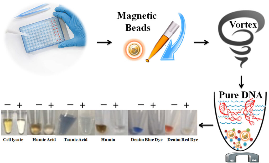 One-Step PCR Inhibitor Removal Kit | Fast & Effective Removal of PCR ...