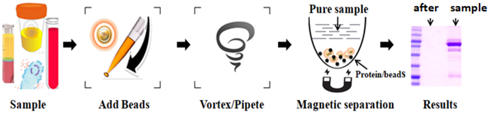 One-Step Sample Preparation Platform