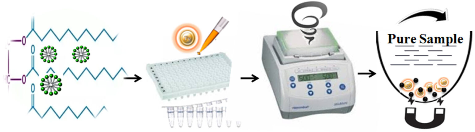 One-Step Lipids Removal Kit - Efficient Magnetic Beads