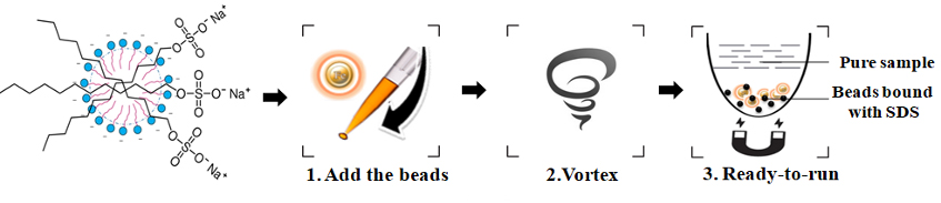 One-Step SDS Removal Kit - Magnetic Beads