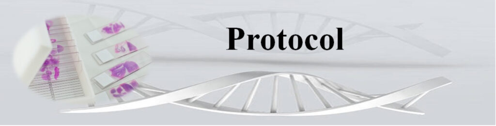 One-Step FFPE & FNA DNA Purification Protocol - Quick and Reliable ...