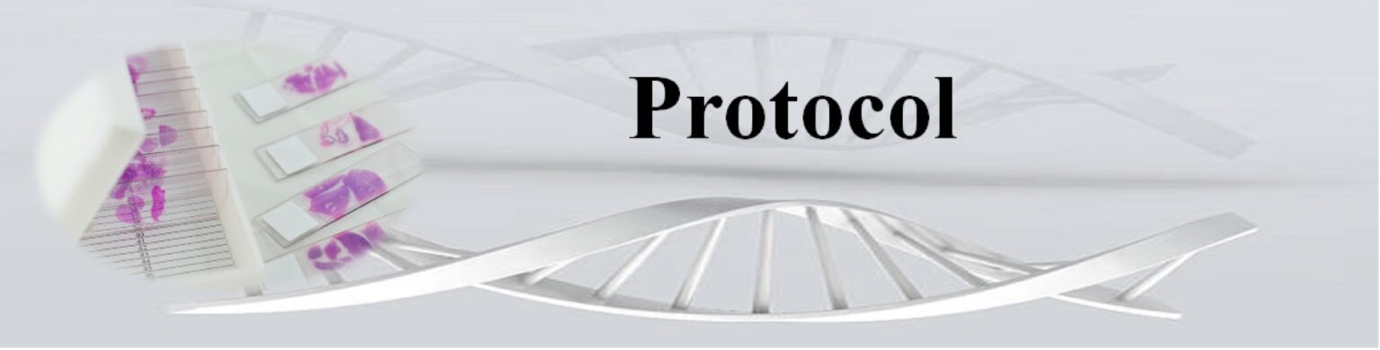 One-Step FFPE & FNA DNA Purification Protocol - Quick and Reliable ...
