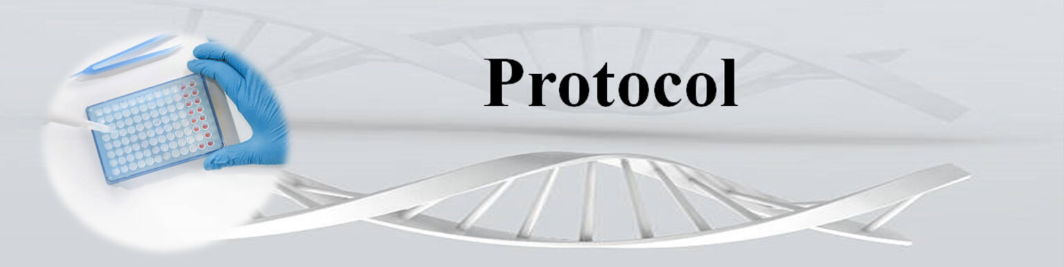 One-Step PCR Inhibitor Removal Kit | Fast & Effective Removal of PCR ...