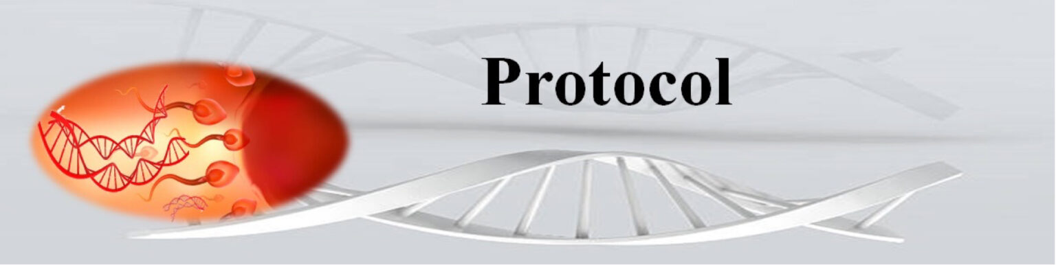 Sexual Assault Casework DNA Purification Protocol: Efficient DNA ...