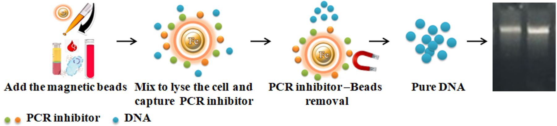 Next-Generation Sequencing | Advancements in Genomics Research