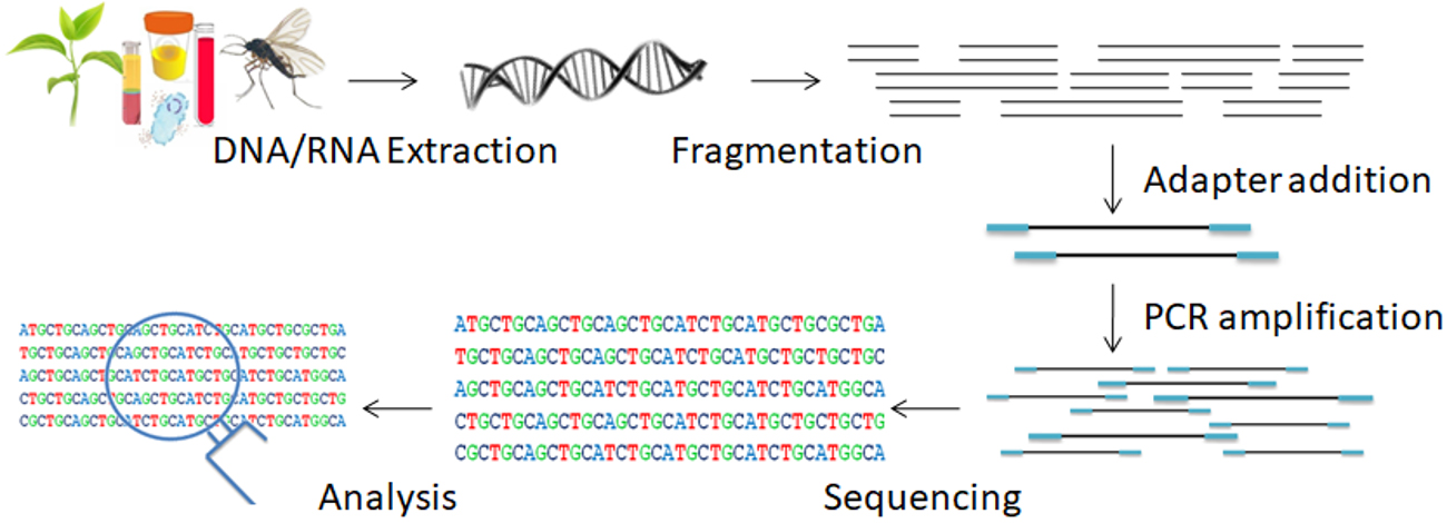 Next-Generation Sequencing | Advancements in Genomics Research