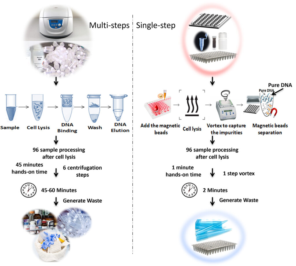 One Step DNA Purification - High Integrity, High Yield, Superfast!