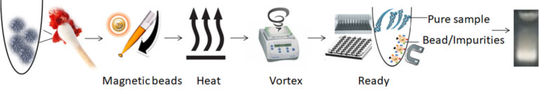 One-Step Touch DNA Purification Kit: Fast & Efficient DNA Extraction ...