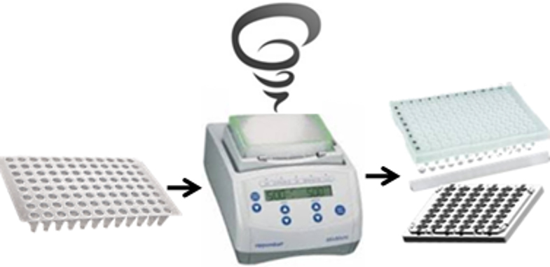 Quick HSA/IgG Depletion Kit