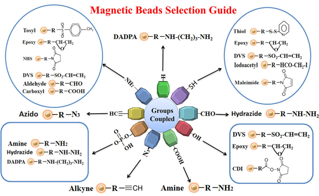 Immunoaffinity Chromatography: A Versatile Method