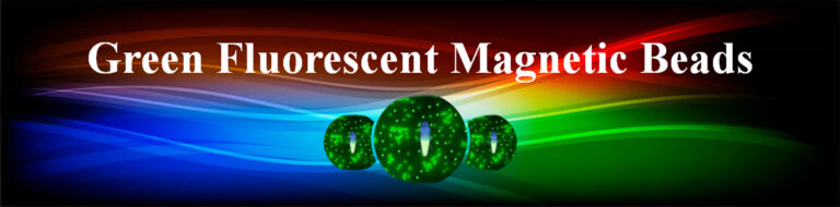 Protein A/G - Terbium Fluorescence Magnetic Beads for Superior ...