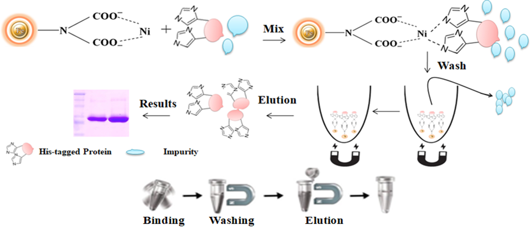 IDA-His-tagged Protein Purification Kit