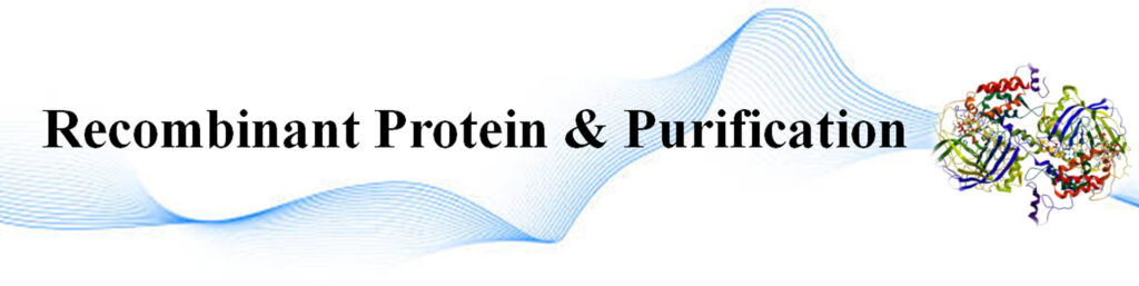 Recombinant Protein: Advancements in Proteomics Research