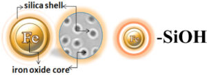 Silica-Modified Magnetic Beads for Efficient Polar Molecule Retention ...