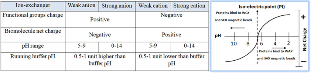 Understanding the Principle of IEX Chromatography