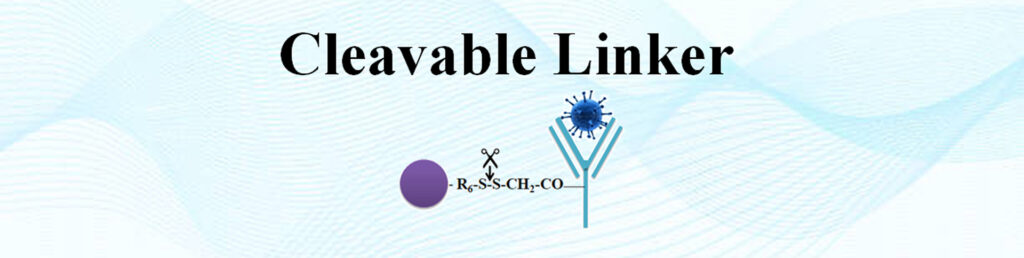 Cleavable Linker: A Promising Strategy for Maintaining Physiological ...