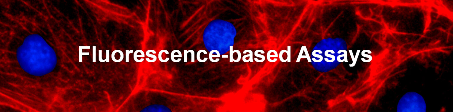 The Fluorescence Mechanism: Understanding Fluorescent assays in ...