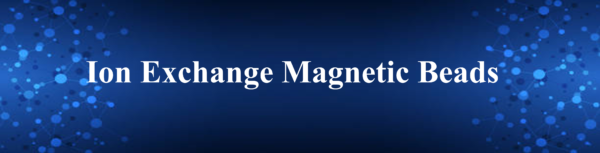 Understanding the Principle of IEX Chromatography