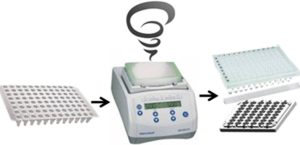 One-Step Bacteria DNA Purification Kit: The Ultimate Solution for Rapid ...