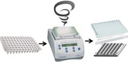 One-Step Dandruff Cell DNA Purification Protocol - Simplified Method ...